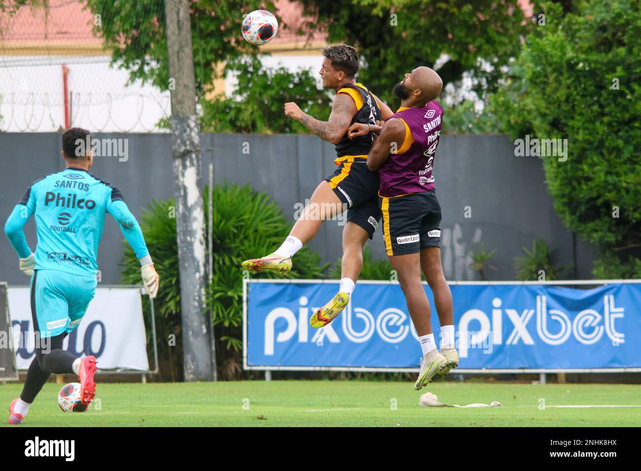 SP - Santos - 12/20/2022 - SANTOS, TRAINING - Santos player Marcos ...