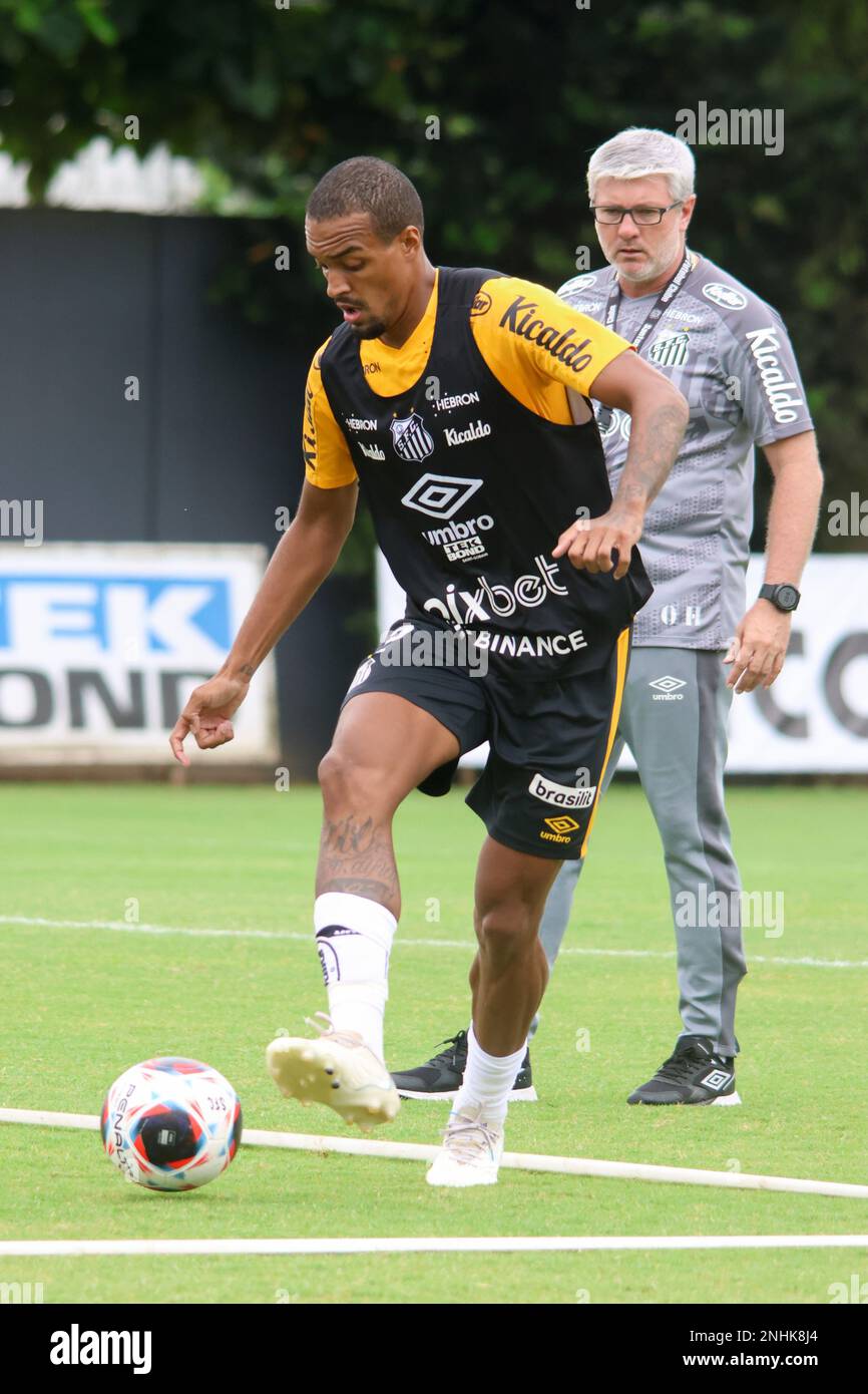 SP - Santos - 12/20/2022 - SANTOS, TRAINING - Luiz Felipe Santos player ...