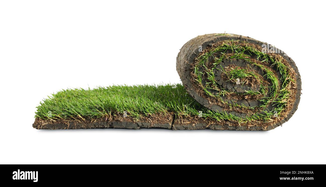Rolled sod with grass on white background Stock Photo - Alamy