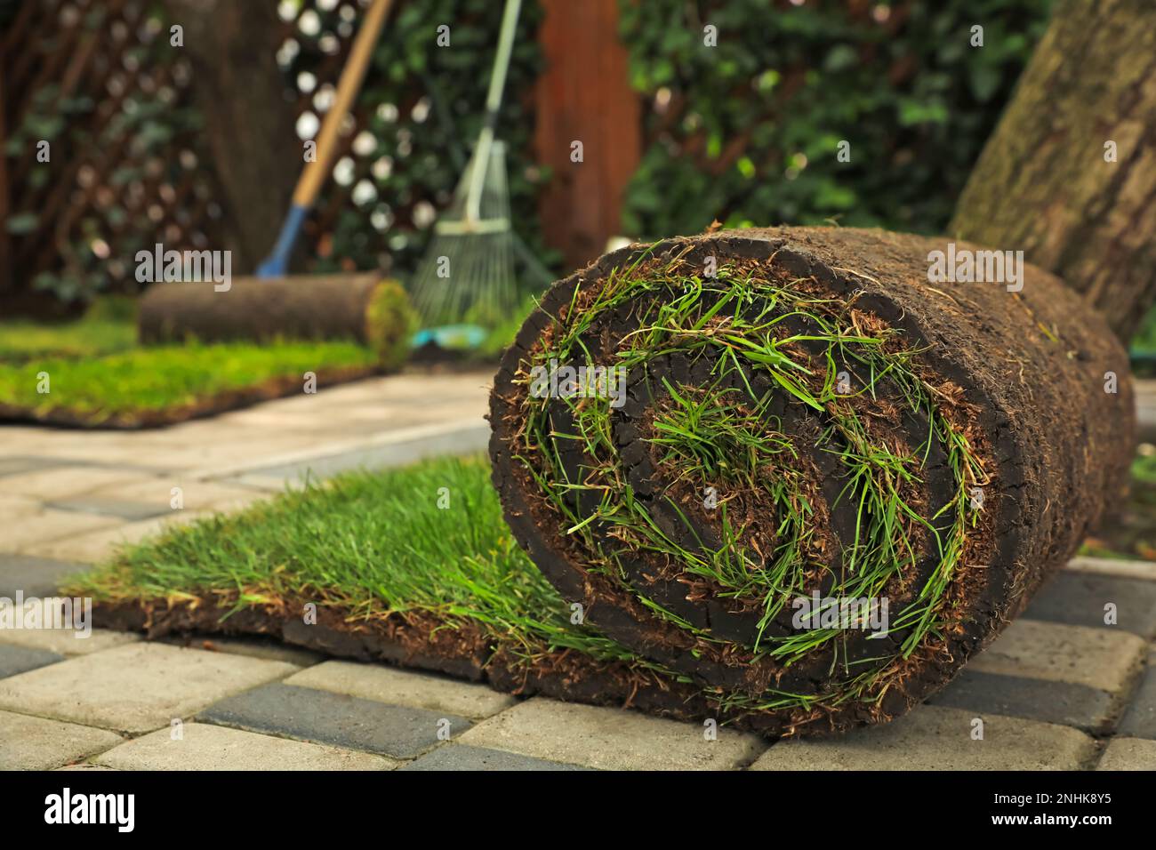 Rolled grass sod on pavement at backyard. Space for text Stock Photo ...