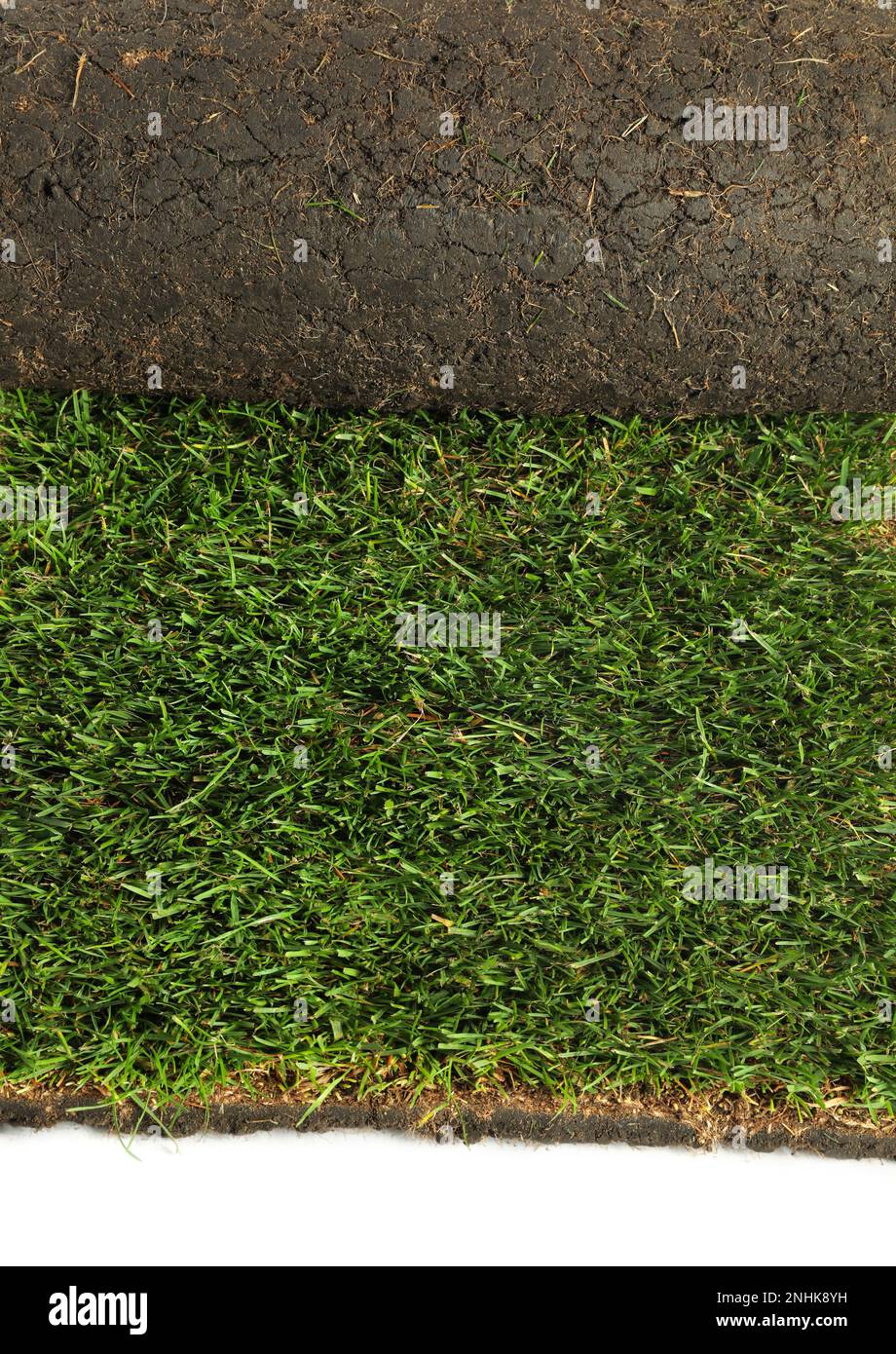 Rolled sod with grass on white background, closeup Stock Photo - Alamy