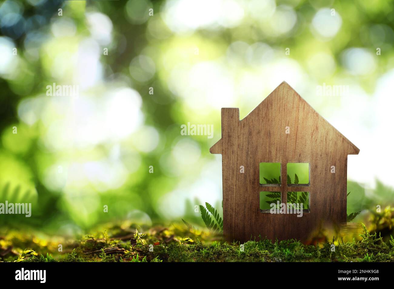 Eco friendly home. House model on green grass outdoors, space for text ...