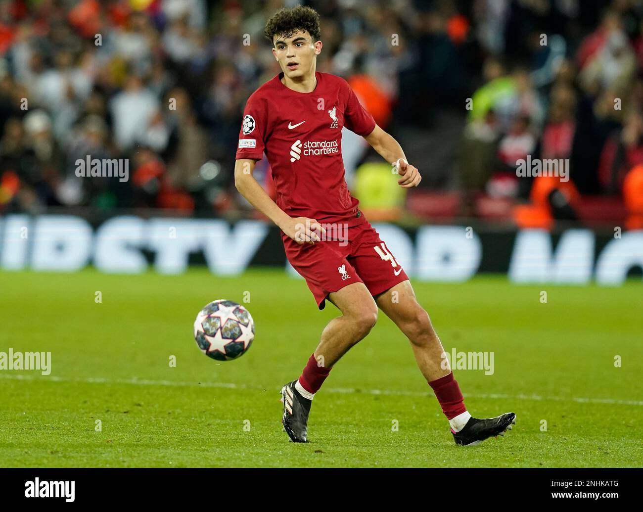 Stefan bajcetic of liverpool hi-res stock photography and images - Alamy