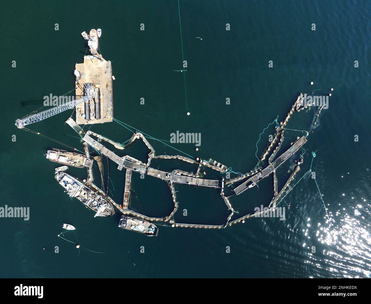 FILE - In this photo provided by the Washington State Department of ...