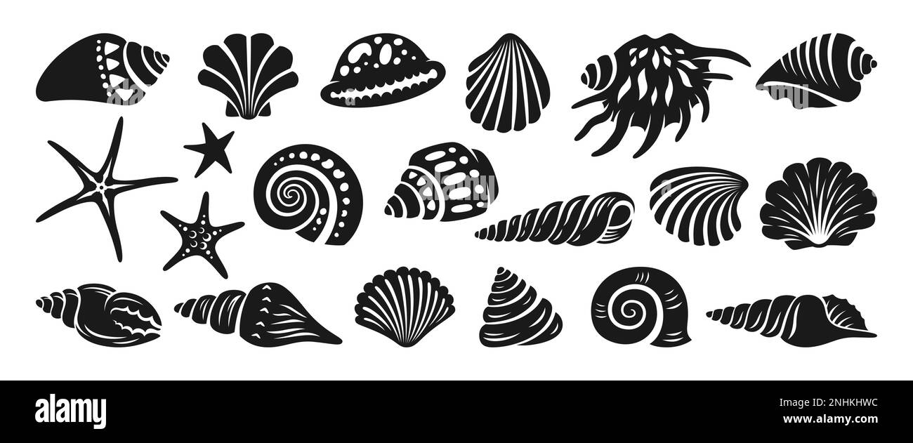 Sea shell sink engraving monochrome set. Ocean exotic underwater ...