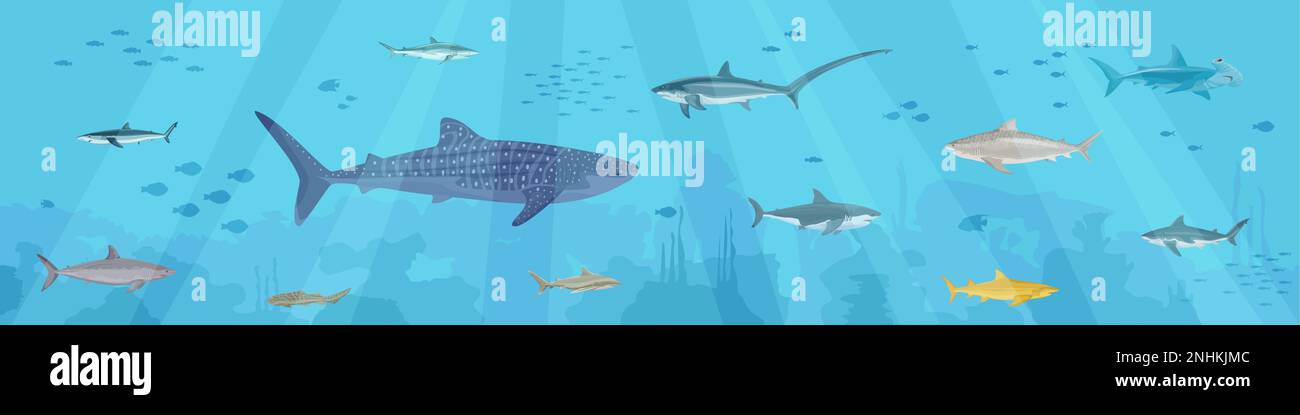 Sharks flat composition with underwater scenery and clusters of small ...