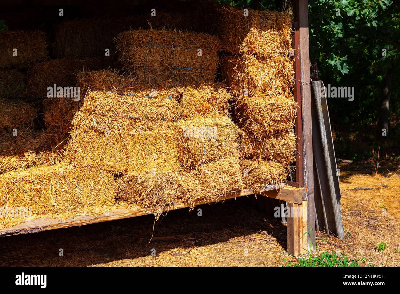 Hay in bales at farm yard . Feeding for farm animals Stock Photo - Alamy