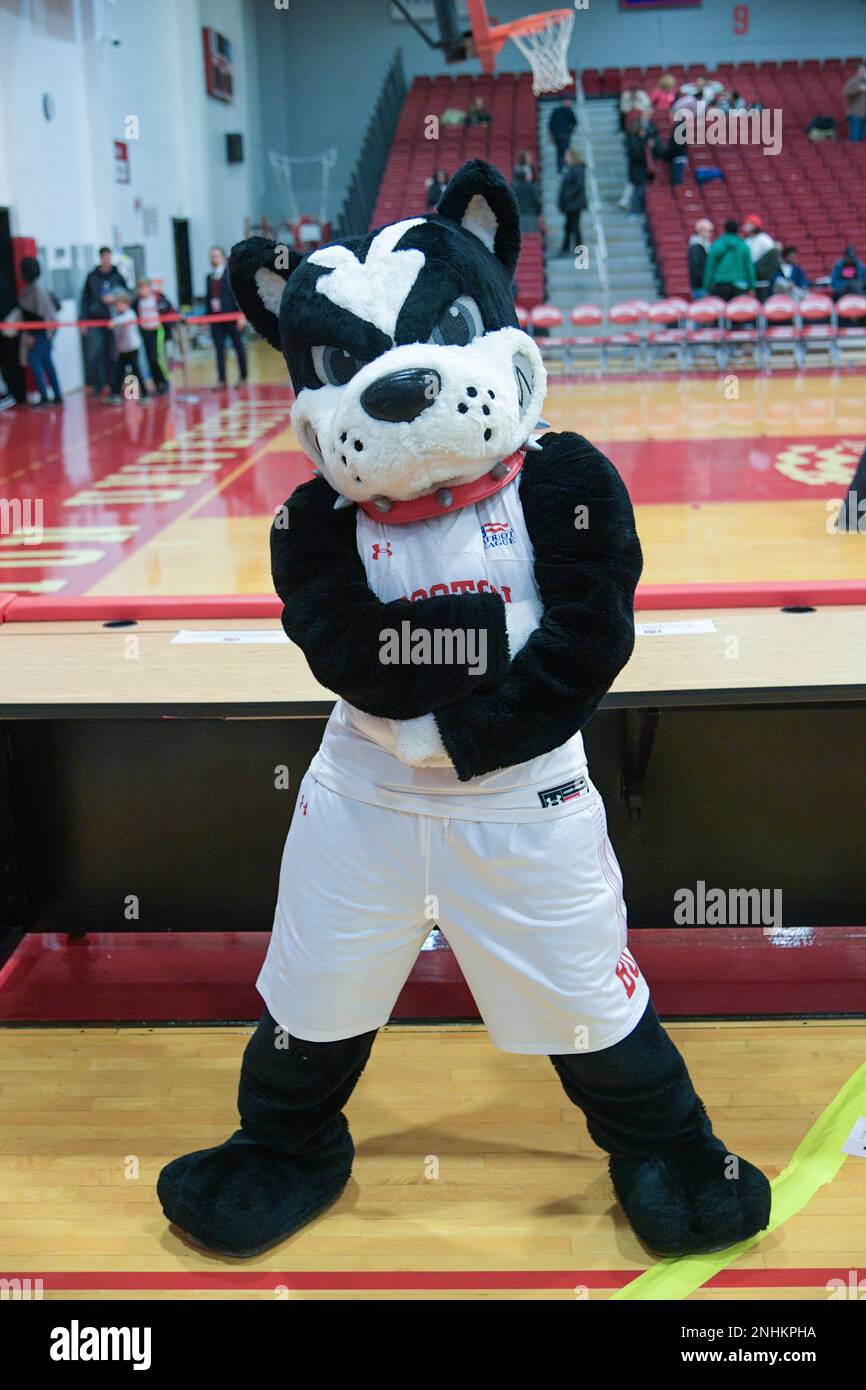 BOSTON, MA - DECEMBER 13: The Boston University Terriers mascot, Rhett ...