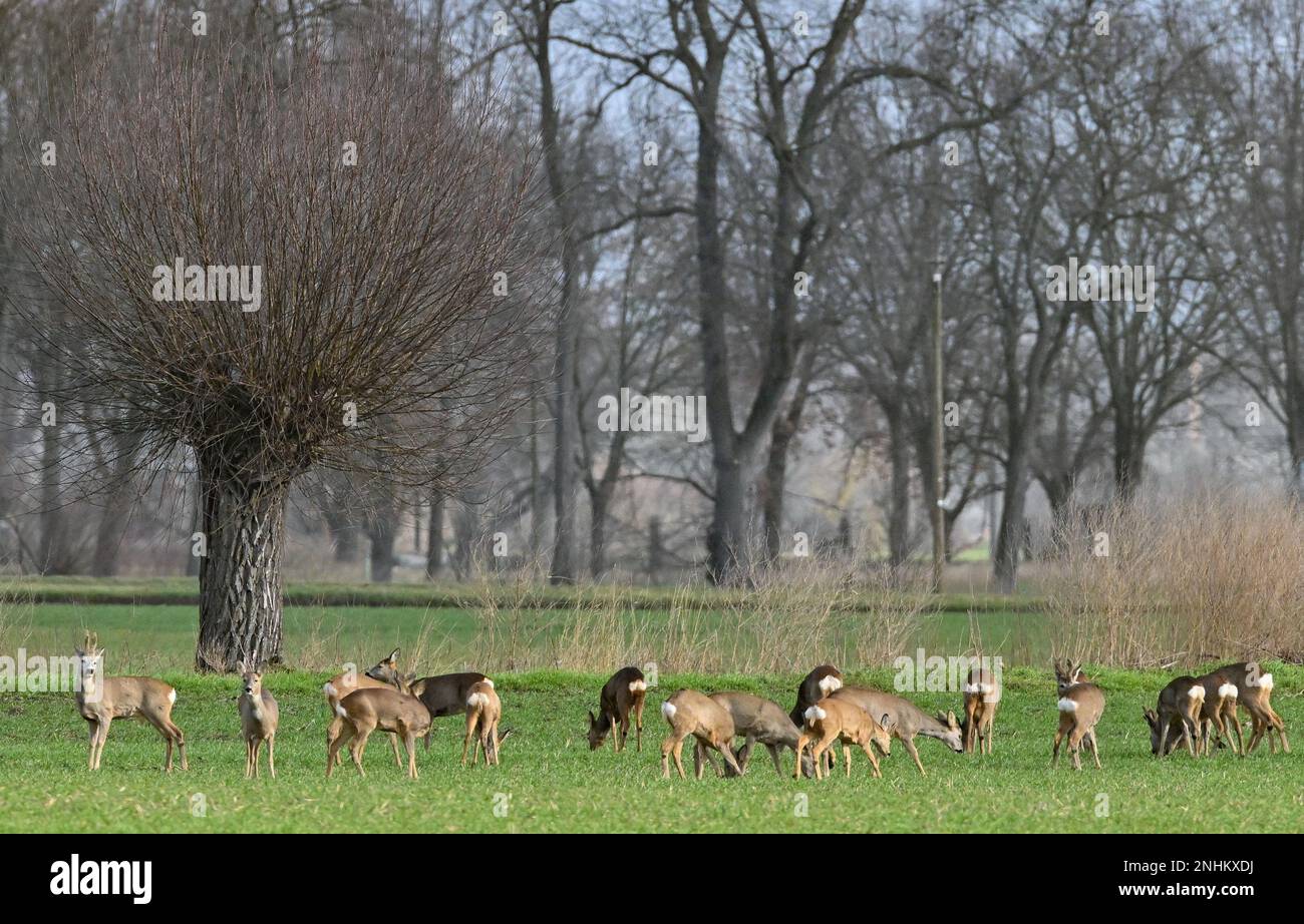 Frederick roe hi-res stock photography and images - Alamy