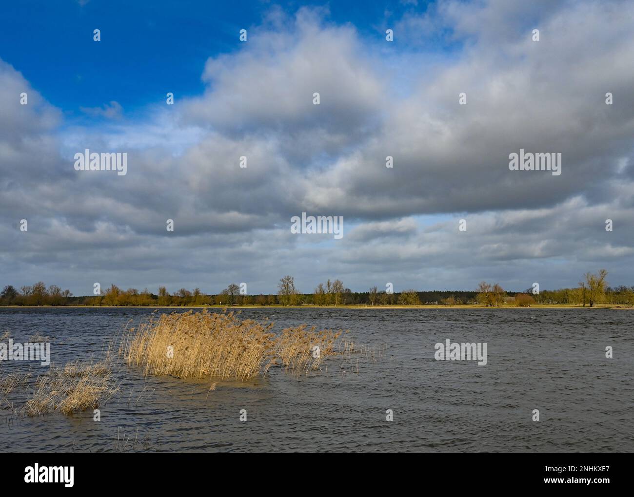 Genschmar, Germany. 21st Feb, 2023. Clouds drift over the German-Polish ...
