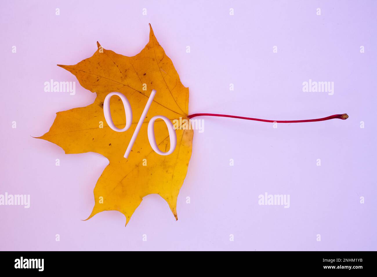 Autumn leaves, objects with Percentage Sign. Natural patterns, color ...