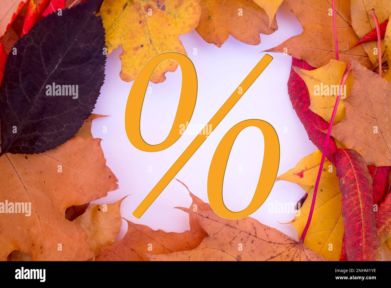 Autumn leaves, objects with Percentage Sign. Natural patterns, color ...