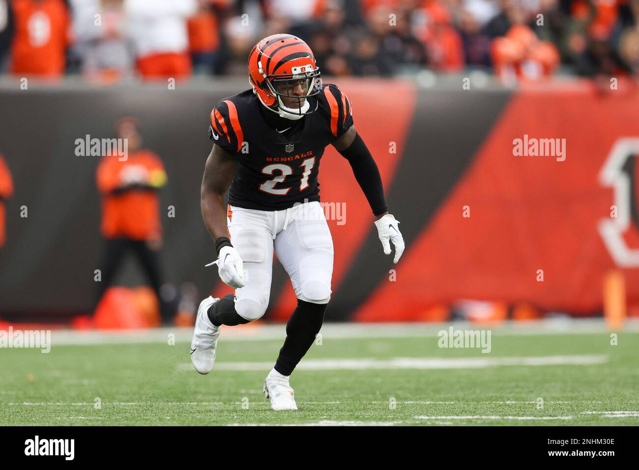 CINCINNATI, OH - DECEMBER 11: Cincinnati Bengals cornerback Mike Hilton ...