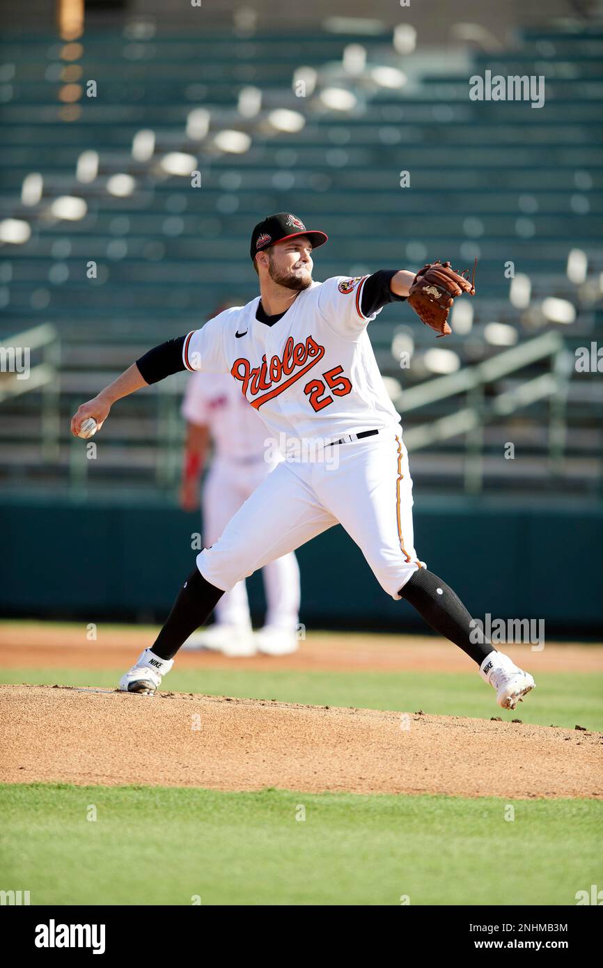 Scottsdale Scorpions starting pitcher Noah Denoyer (25) (Baltimore ...