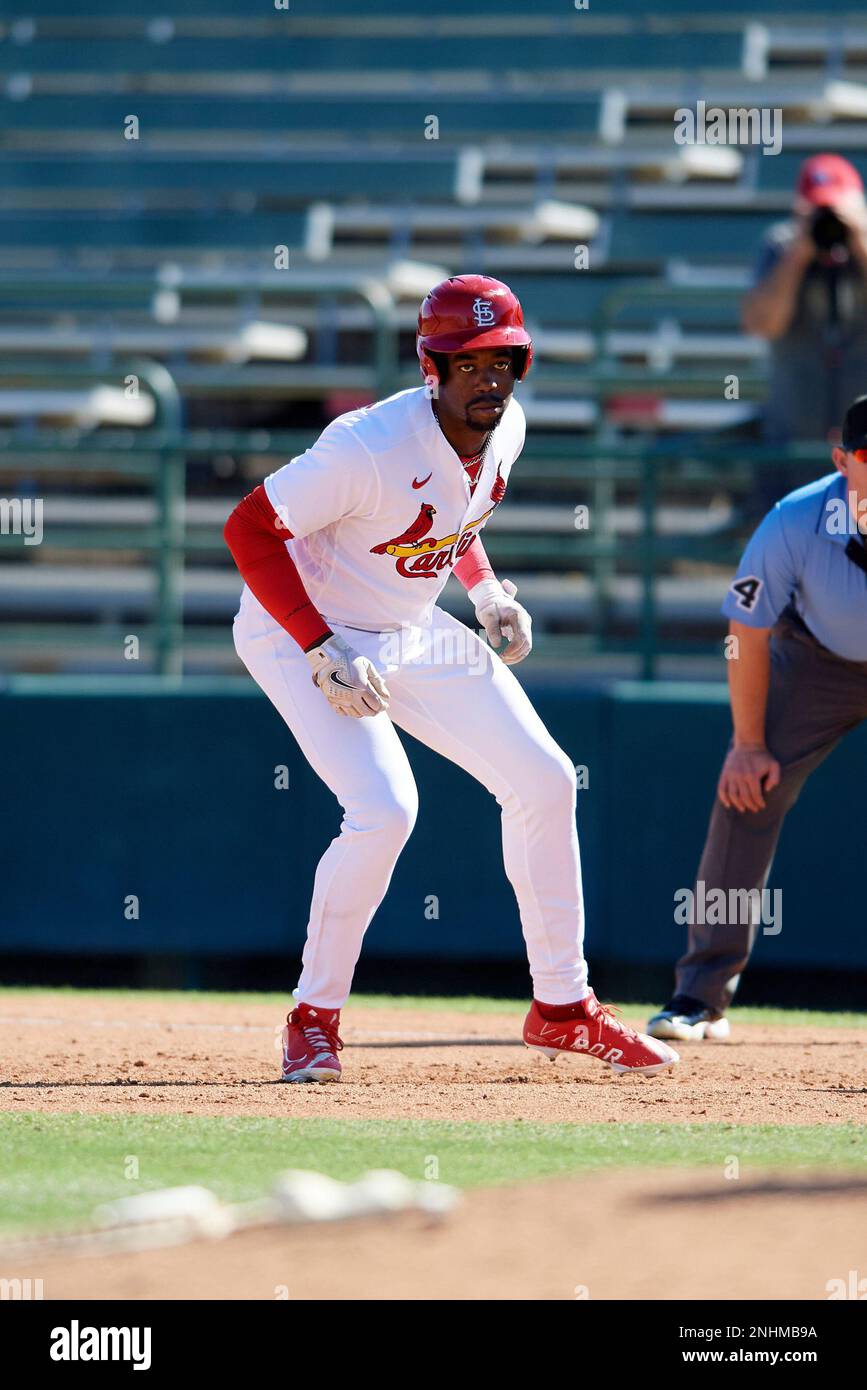 Jordan Walker (11) (St. Louis Cardinals) of the Salt River Rafters ...