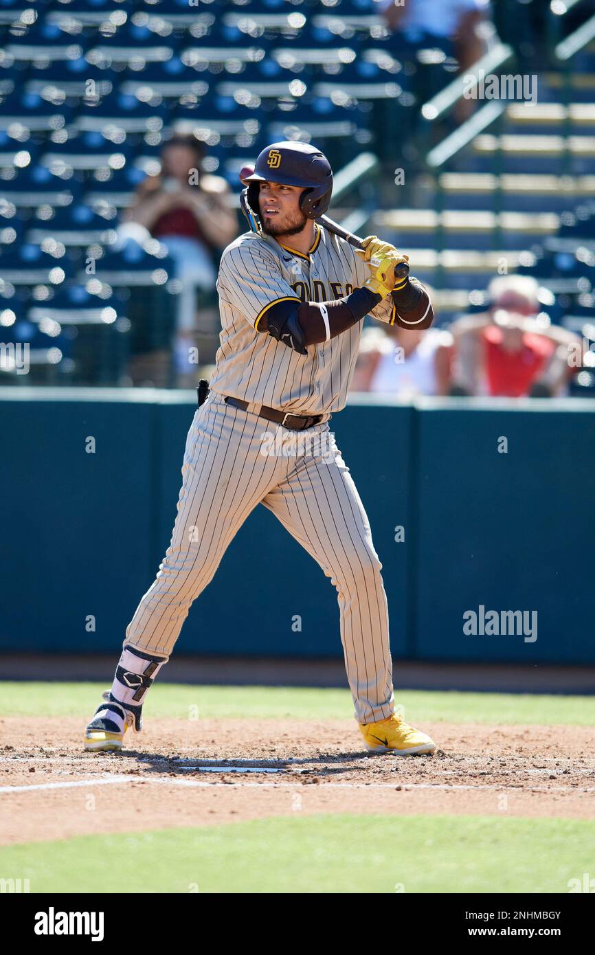Tirso Ornelas (21) (San Diego Padres) of the Peoria Javelinas during an ...