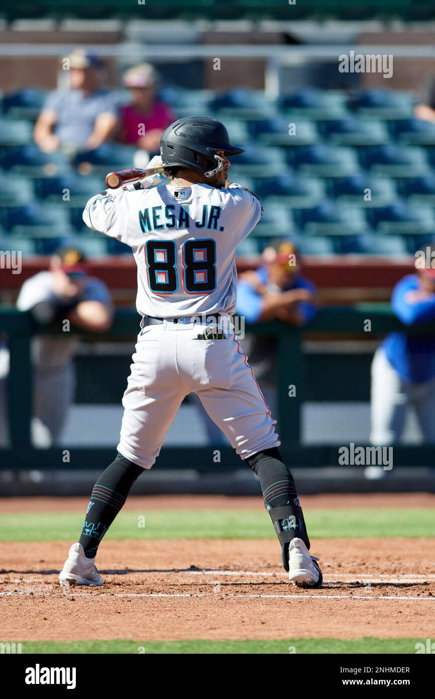 Victor Mesa Jr. (88) (Miami Marlins) of the Mesa Solar Sox during an ...
