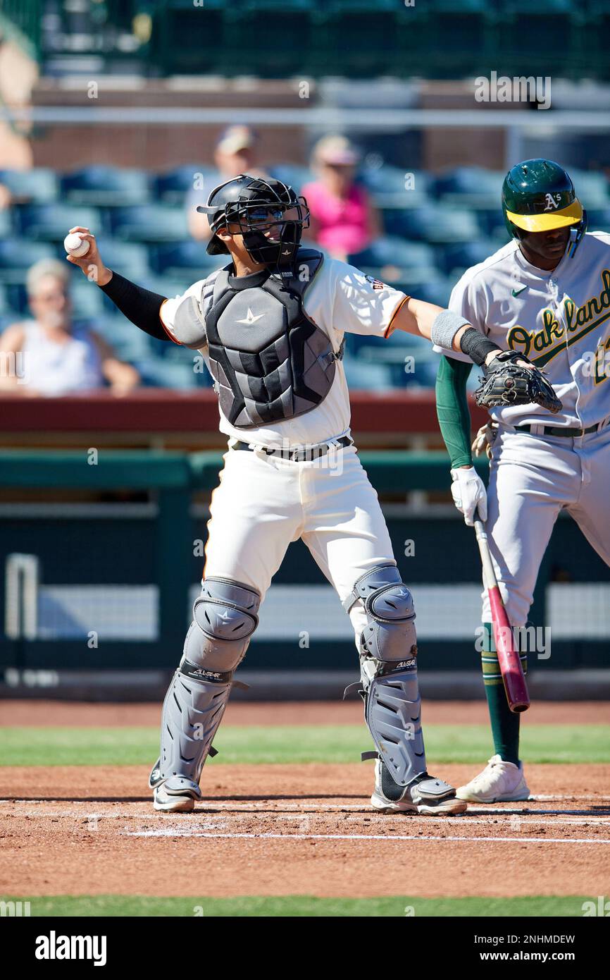 Scottsdale Scorpions catcher Adrian Sugastey (1) (San Francisco Giants ...