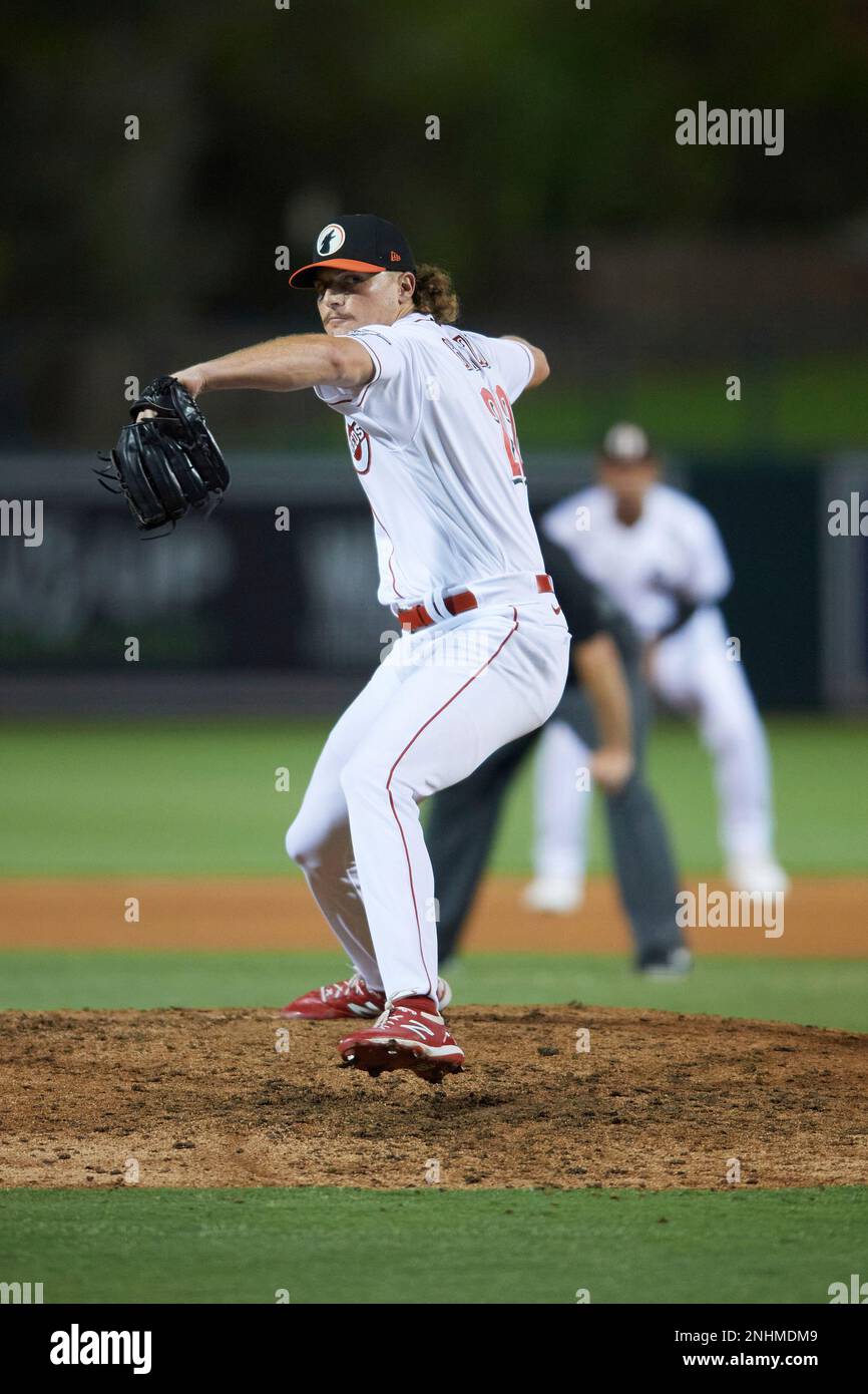 Glendale Desert Dogs pitcher Jake Gozzo (22) (Cincinnati Reds) during ...