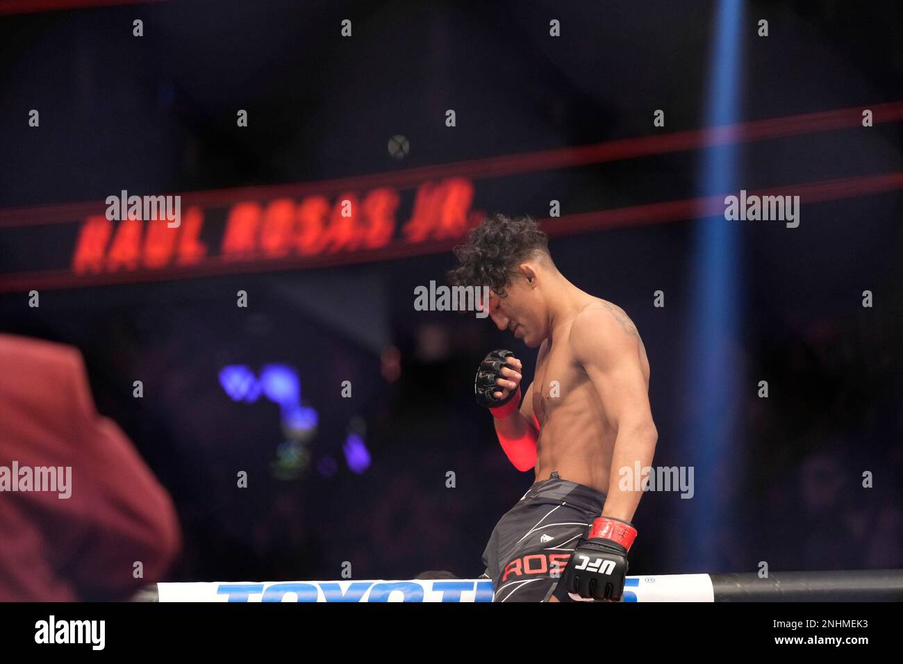 LAS VEGAS, NV - DECEMBER 10: Raul Rosas Jr. celebrates his victory over ...