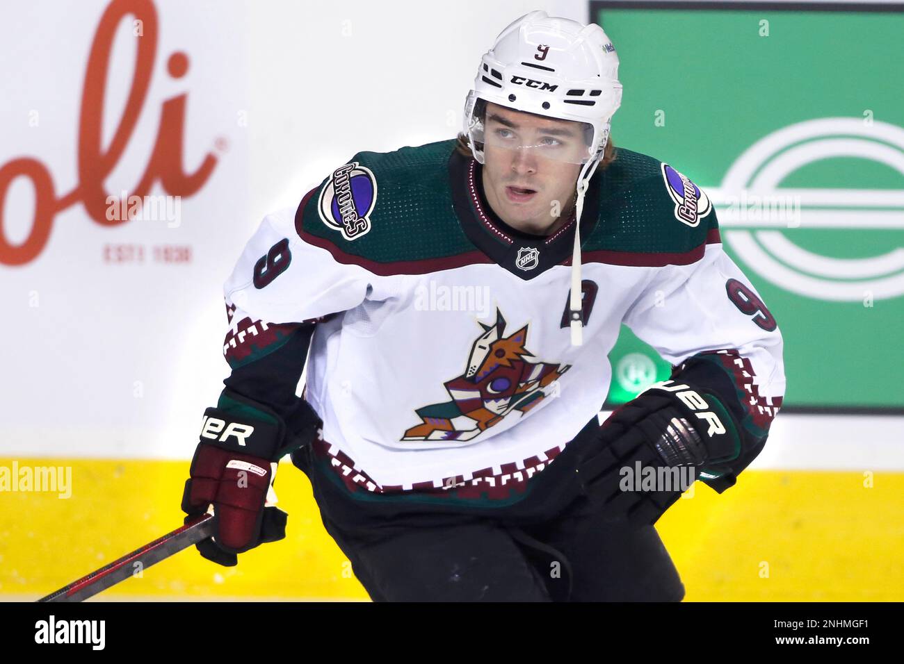 NHL profile photo on Arizona Coyotes player Clayton Keller at a game ...