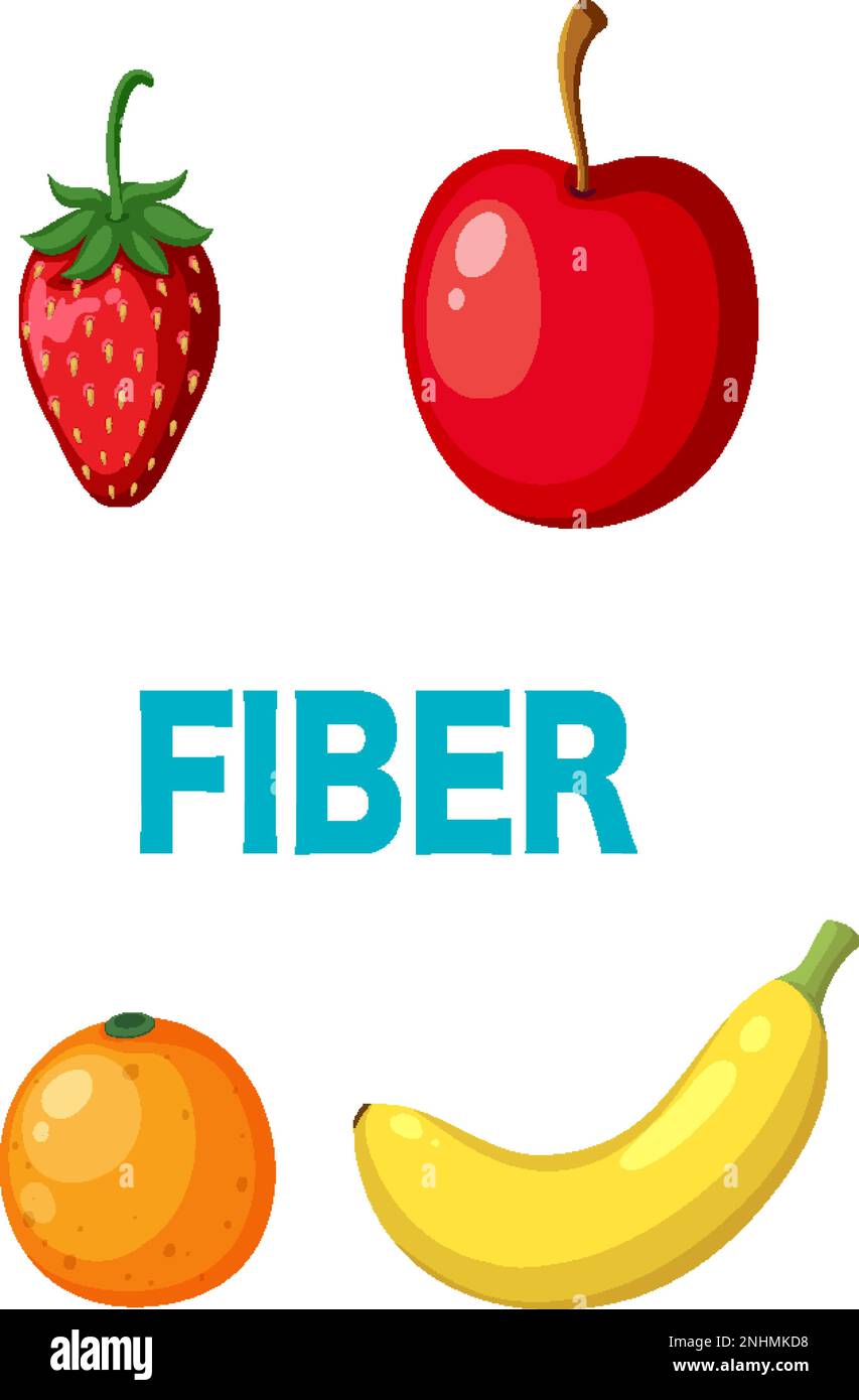 Variety of fiber foods illustration Stock Vector Image & Art - Alamy
