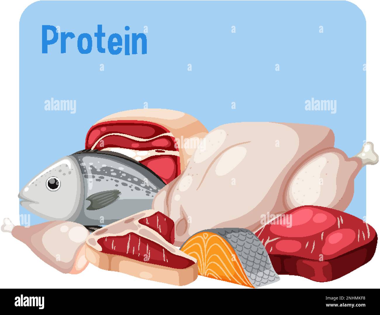 Protein text with various meats illustration Stock Vector Image & Art ...