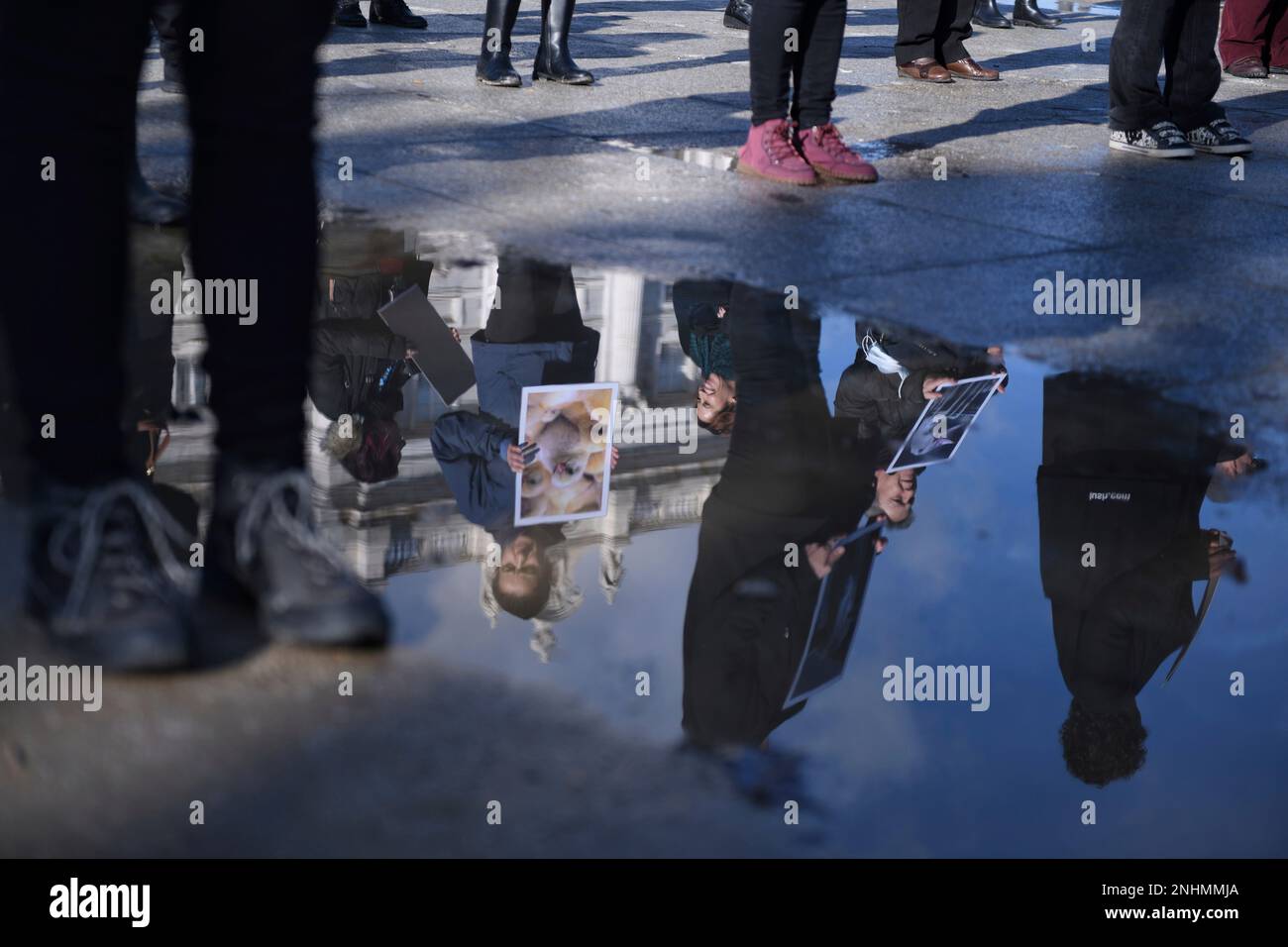 People hold pictures of animals at the International Animal Rights Day ...
