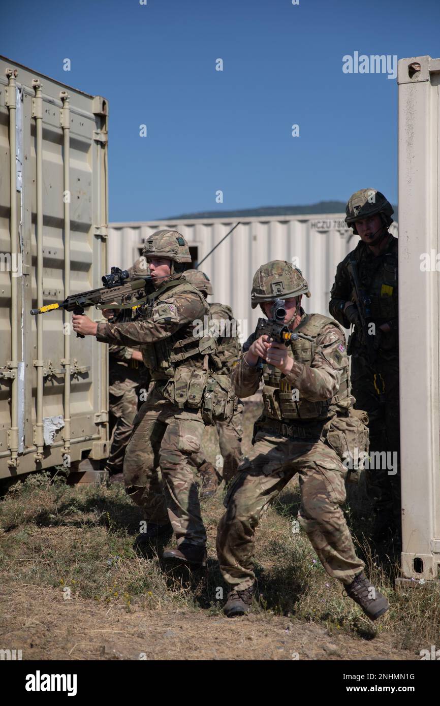 British soldiers, assigned to Charlie Company, 1st Battalion, 1st Royal ...