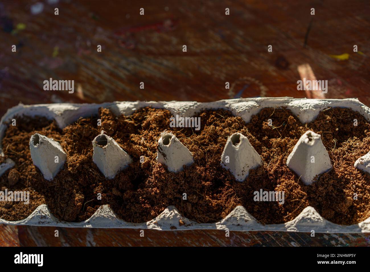 Sustainable Egg Carton Seedling Container Recycled And Reused As ...