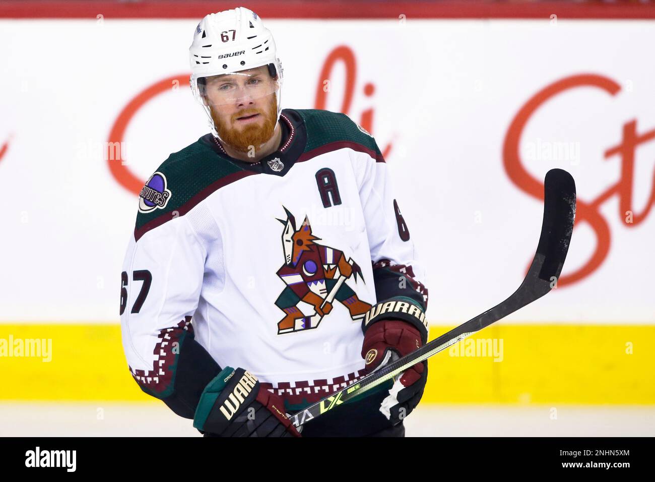 NHL profile photo on Arizona Coyotes player Lawson Crouse at a game ...