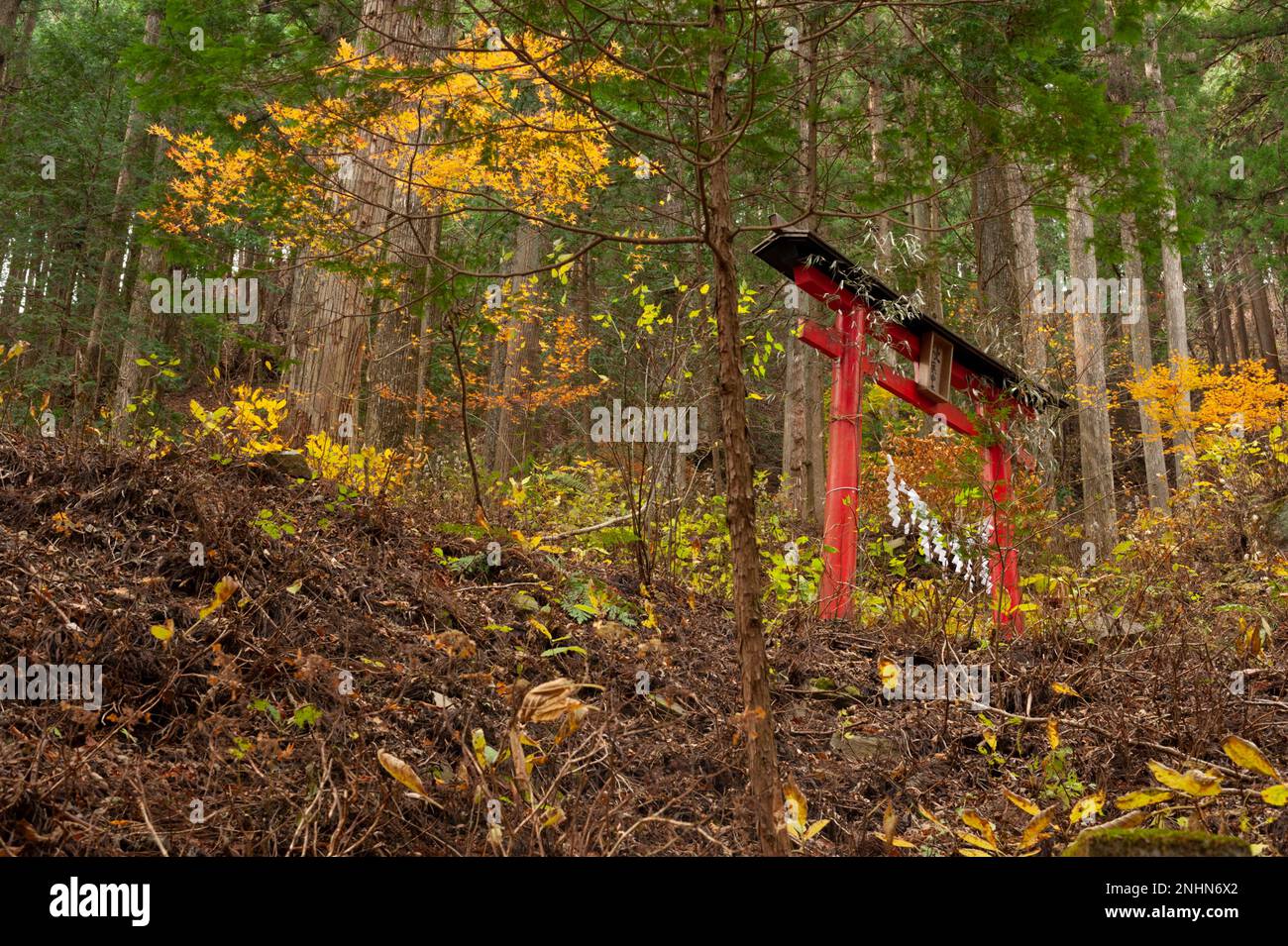 Haruna jinja shrine hi-res stock photography and images - Alamy