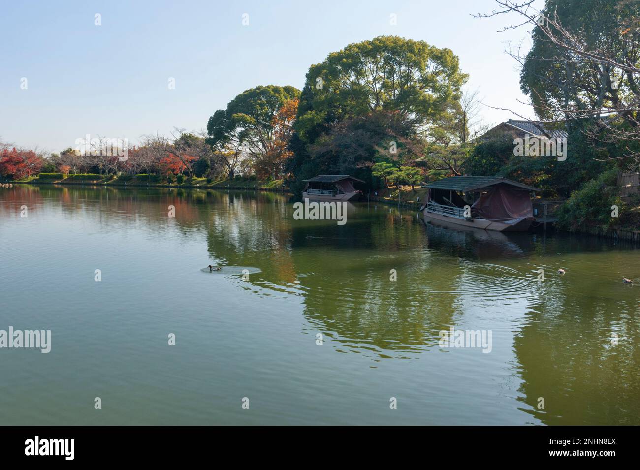Osawa Pond, at Daikaku-ji Temple in the autumn, Kyoto, Japan Stock ...