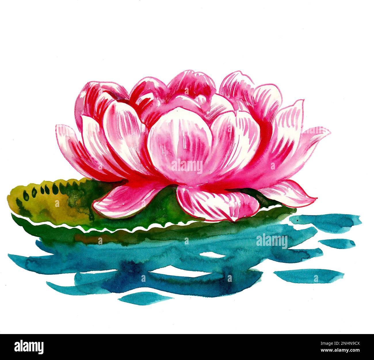Lotus flower watercolor painting hi-res stock photography and images ...