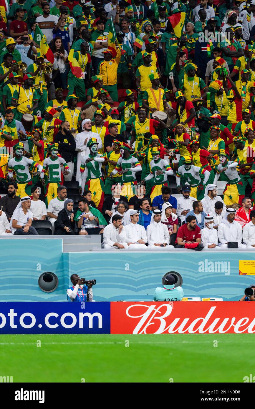 AL KHOR, - DECEMBER 04: Senegal fans during the round of 16 match of ...