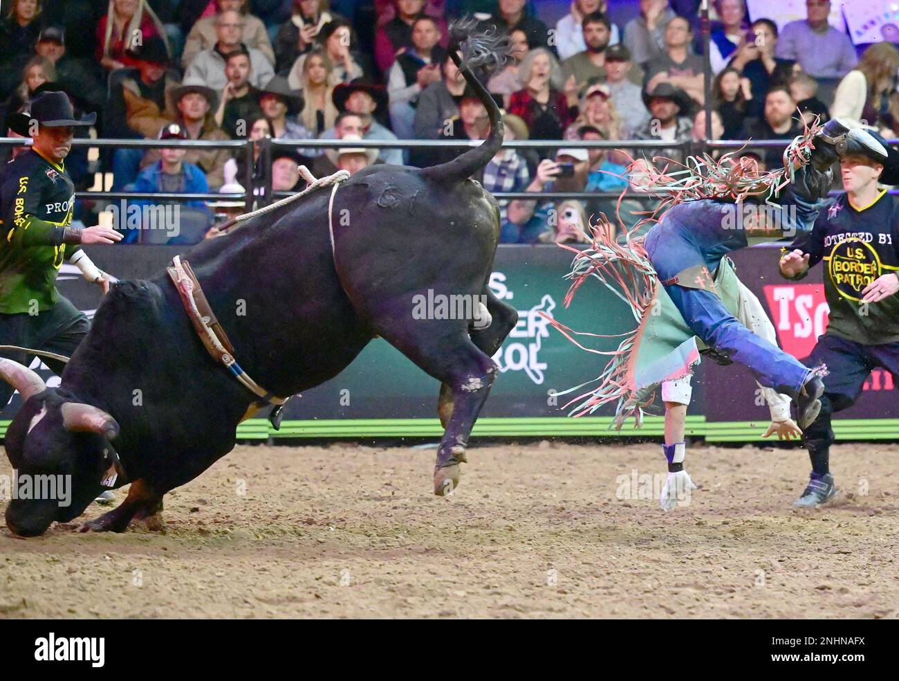 ST. LOUIS, MO - DECEMBER 03: Bullrider Thiago Salgado gets bucked off ...