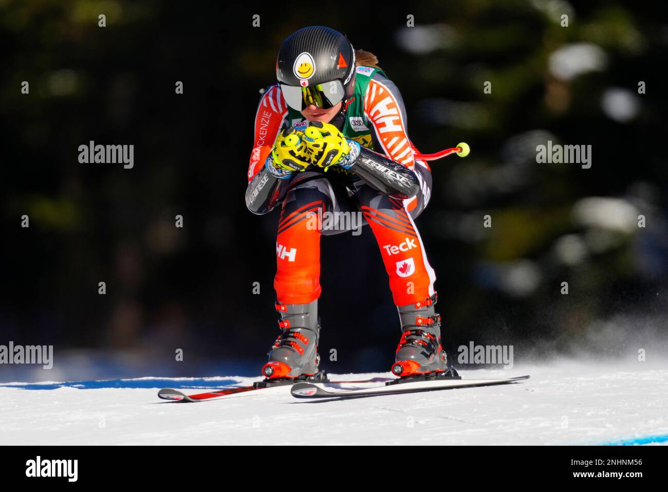 Canada's Valerie Grenier skis the course during the women's World Cup super-G ski race in Lake ...