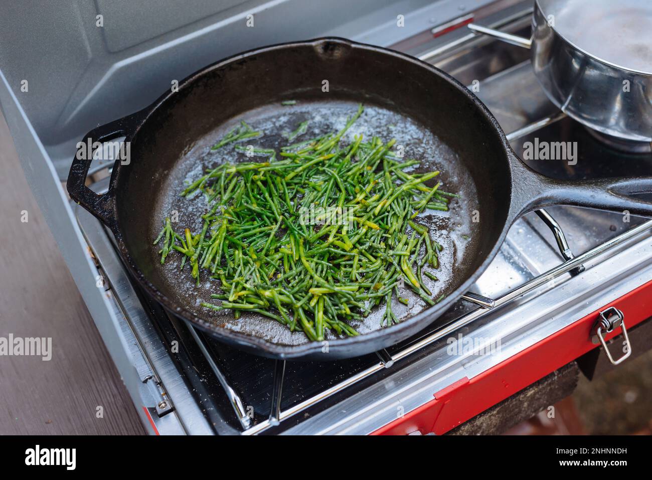 Cooking sea asparagus (Salicornia pacifica) over a camping stove Stock ...