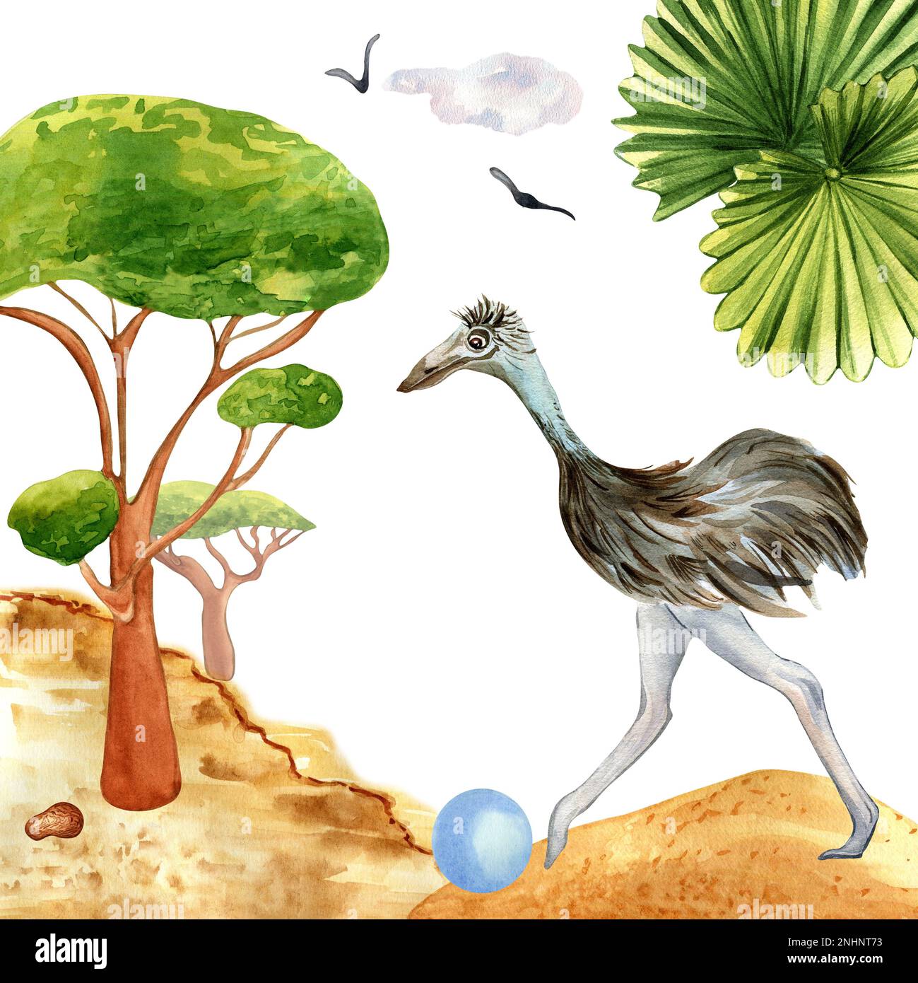 Cartoon ostrich running watercolor illustration isolated on white ...