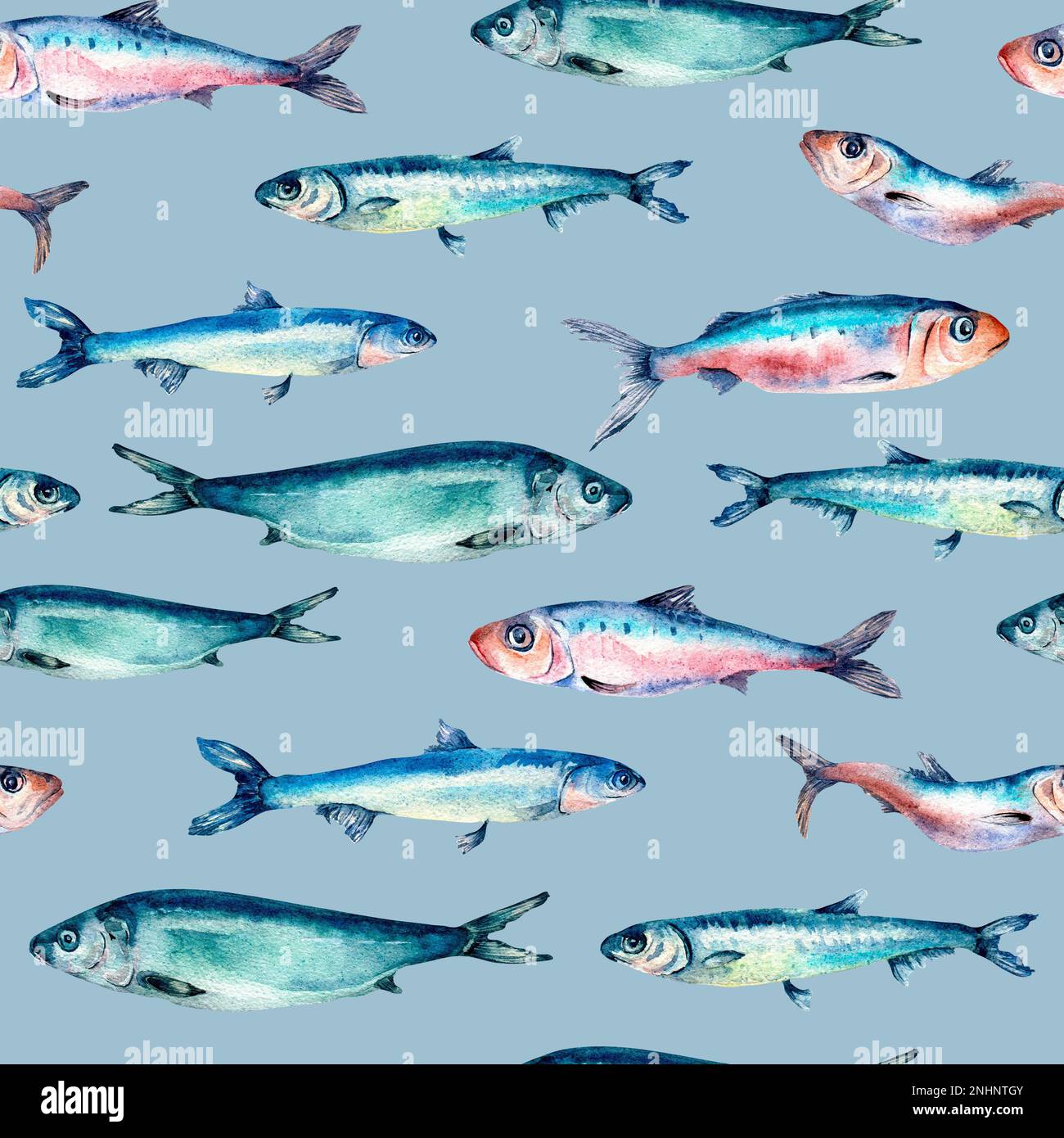 Sea fish horizontally seamless pattern watercolor isolated on blue ...