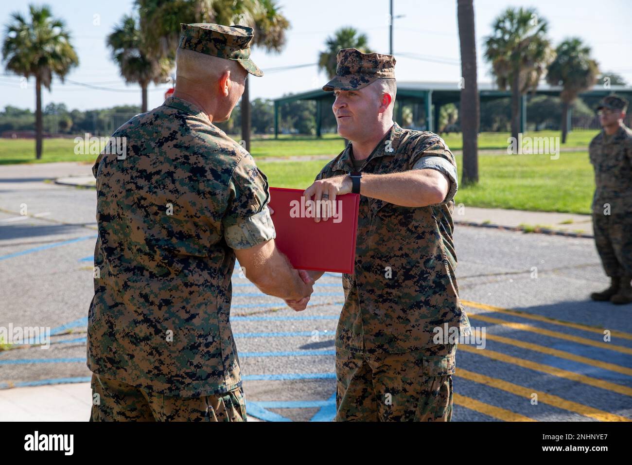 U.S. Marine Corps Col. Lance J. Langfeldt, the commanding officer for ...