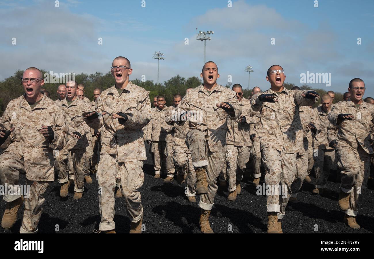 U. S. Marine Corps recruits with Bravo company, 1st Recruit Training ...