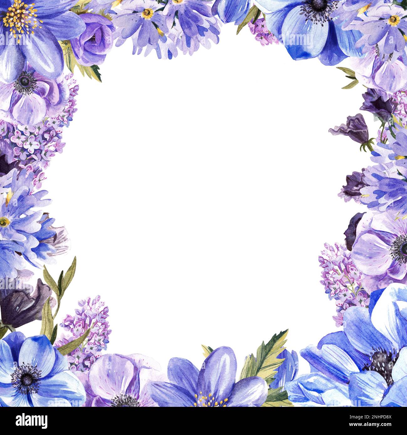 Square composition of spring lilac flowers on a white background ...
