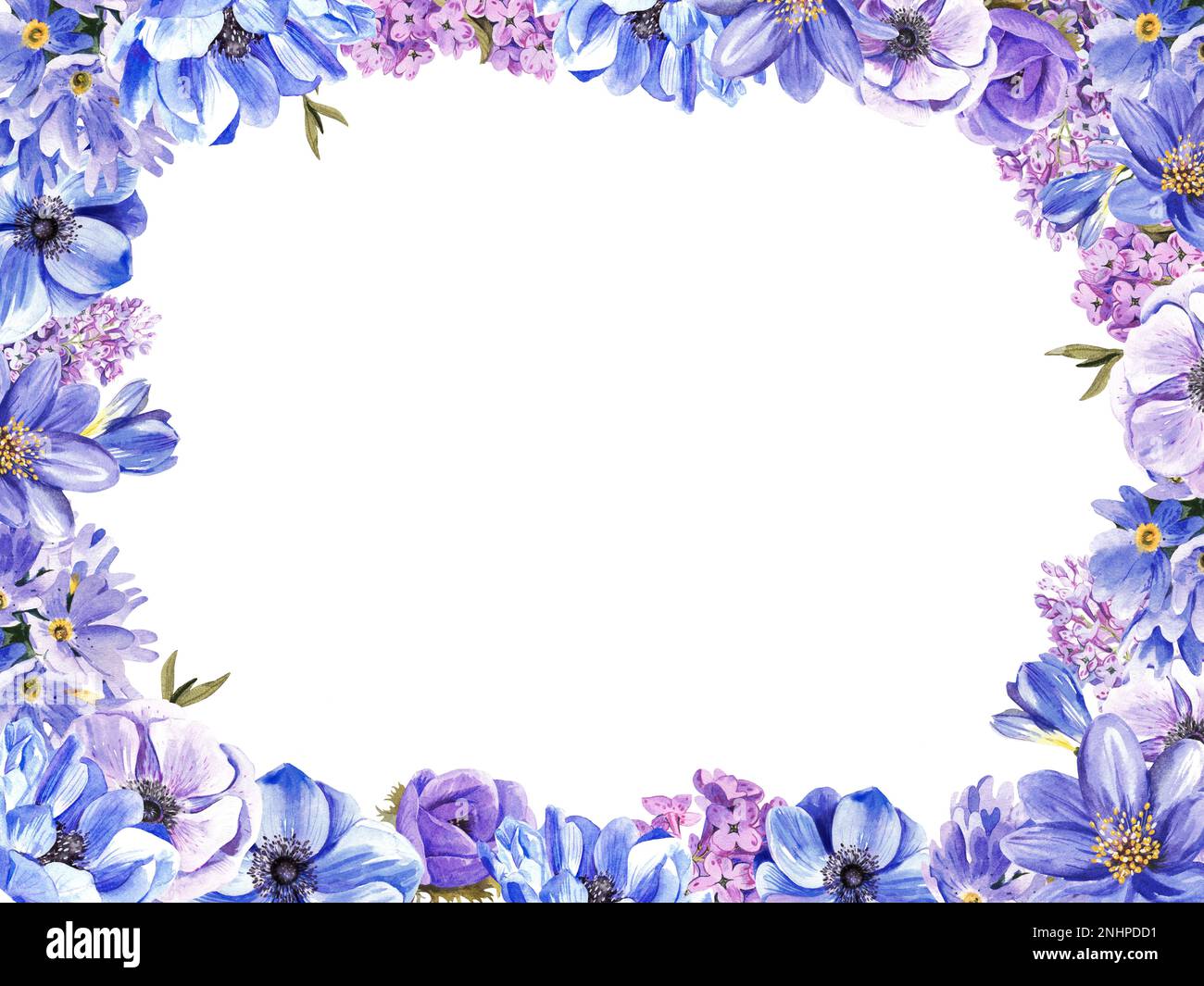 Rectangular frame of spring lilac flowers on a white background ...