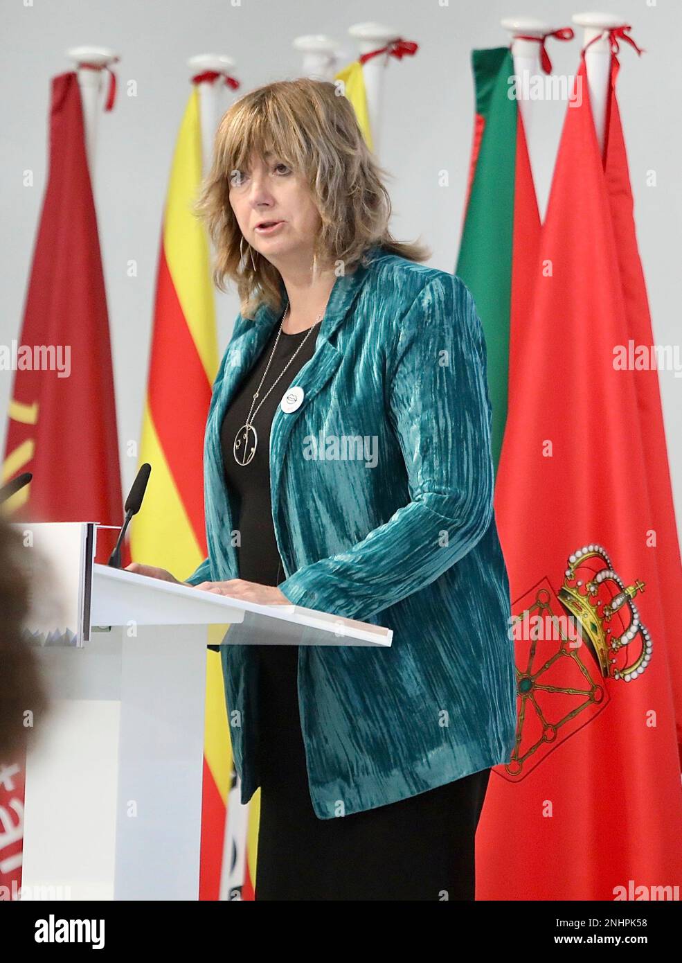 The Councilor for Citizen Relations of the Government of Navarra, Ana Ollo Hualde, speaks during ...