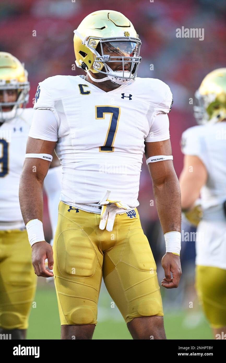 LOS ANGELES, CA - NOVEMBER 26: Notre Dame Fighting Irish defensive ...