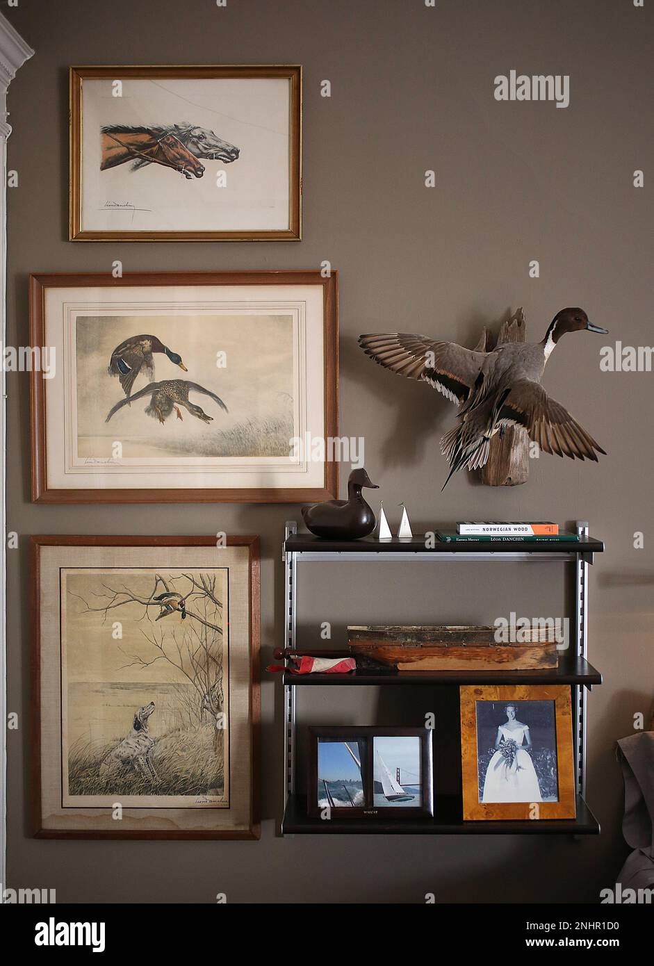 Lighting designer Robert Long has a taxidermy pintail duck whose tail ...