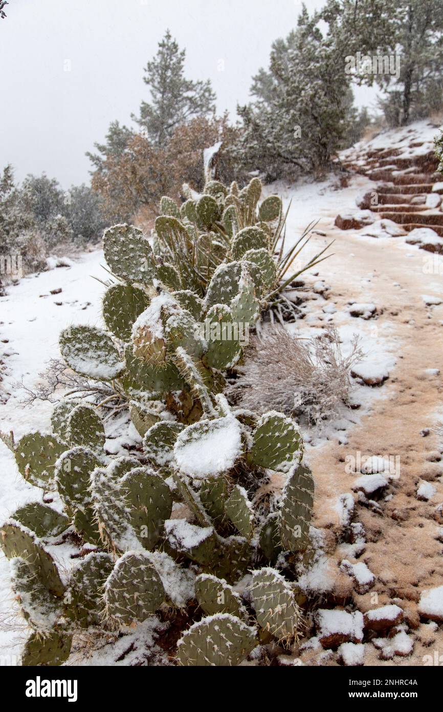 Snow In Sedona Stock Photo - Alamy