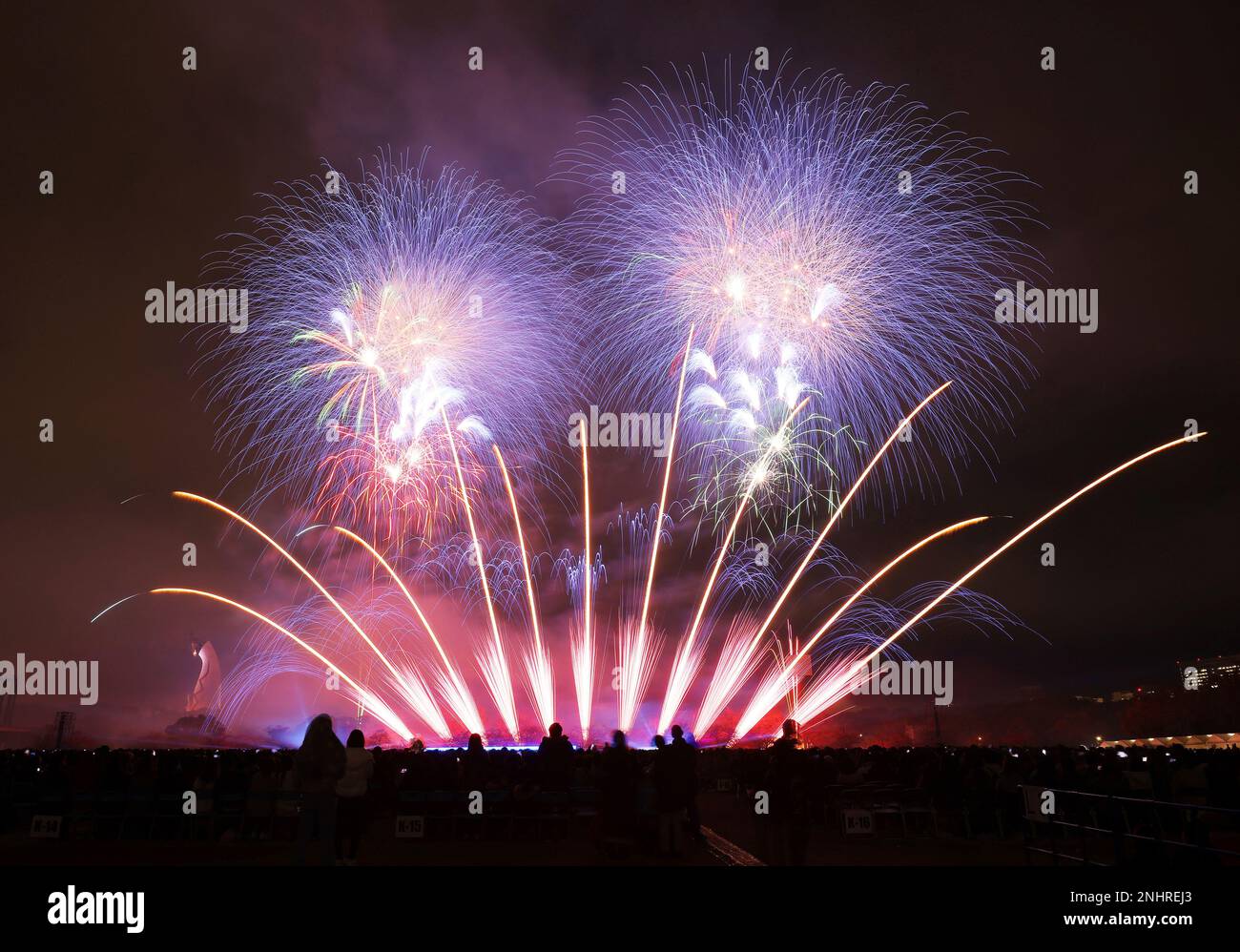 Artistic fireworks illuminate blossoms in the night sky over the Expo ...