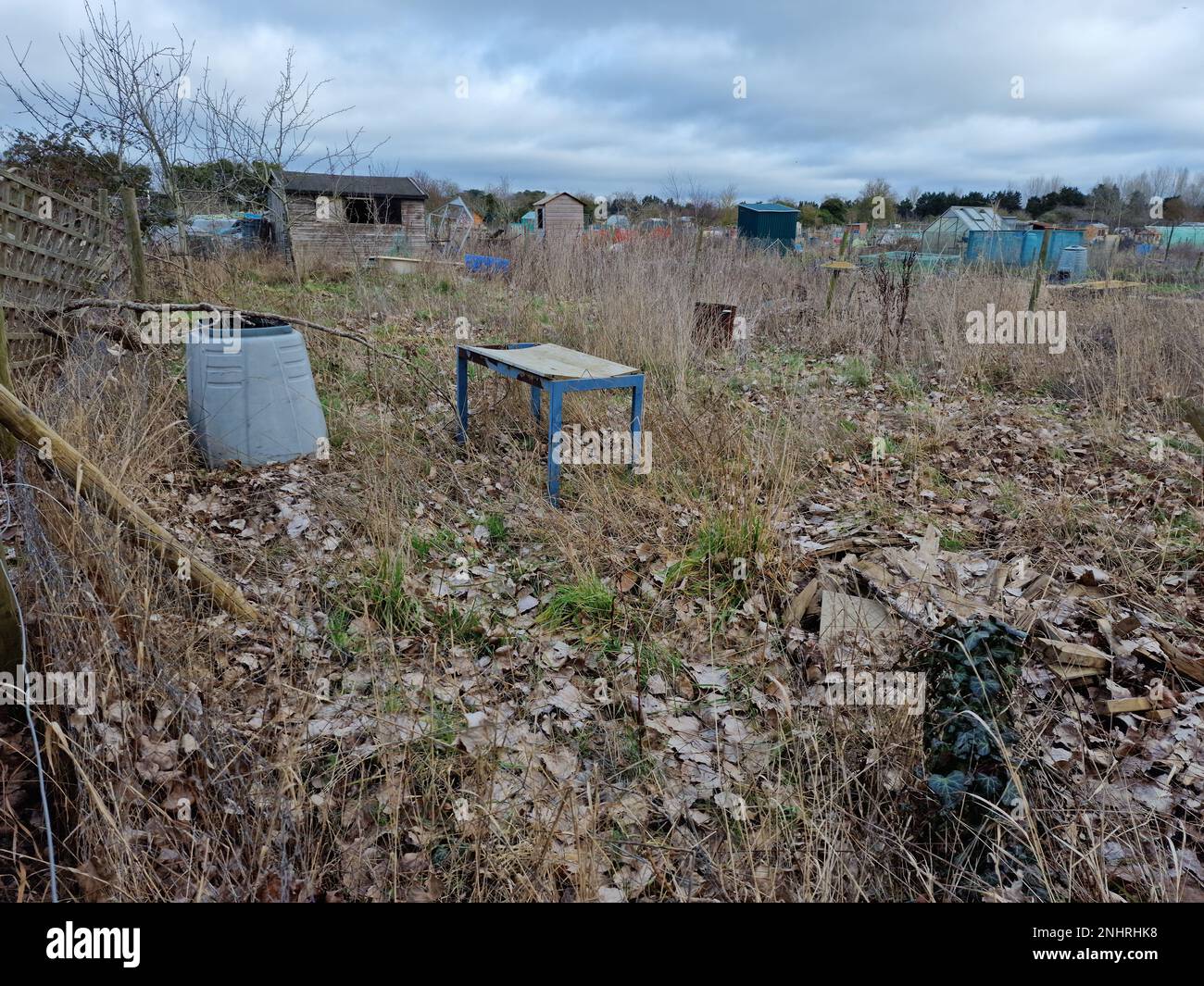 Overgrown allotment plot Stock Photo - Alamy